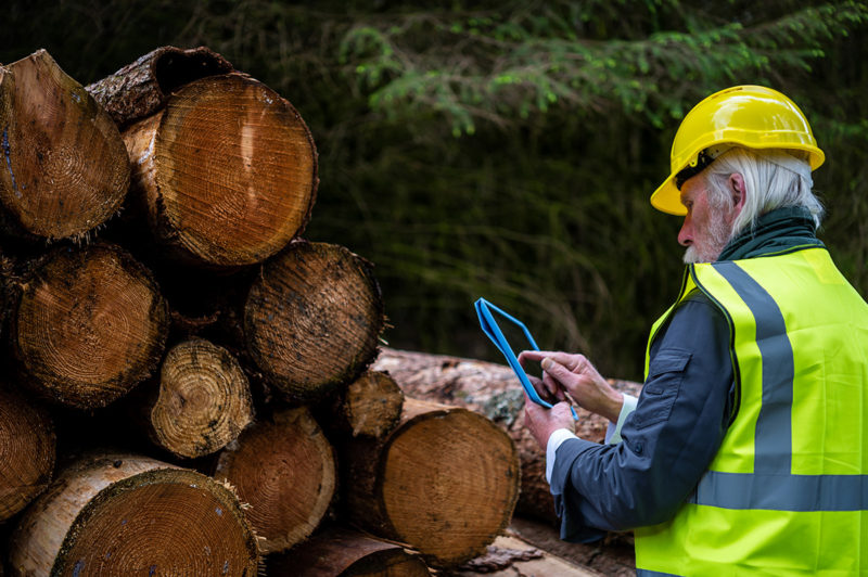 Industrial Wood & Industrial Packaging You Can Count On | Conner Industries